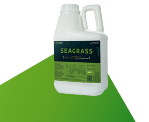 Seagrass - Amazon Agrosciences